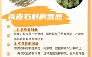 石斛的功效与作用_怎么吃效果最好