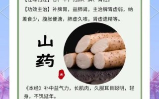 淮山药的功效与作用_淮山药主治什么病