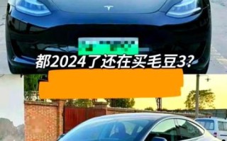 毛豆3和毛豆y区别_哪个更值得买