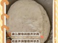 酵母发面可以放一晚上吗_隔夜面团会不会坏