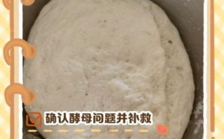 酵母发面可以放一晚上吗_隔夜面团会不会坏