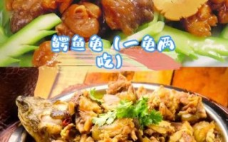 鳄鱼龟怎样做吃最好_鳄鱼龟怎么炖汤最鲜