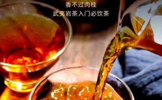 肉桂茶适合什么人喝_肉桂茶什么人不能喝