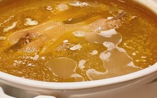 老鸭汤的做法大全家常做法_老鸭汤怎么炖好喝又营养