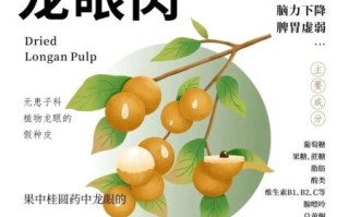 龙眼的功效与作用_龙眼什么人不能吃