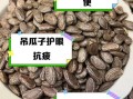 吊瓜子功效与作用有哪些_吊瓜子禁忌人群