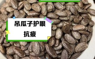 吊瓜子功效与作用有哪些_吊瓜子禁忌人群