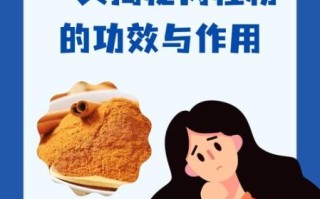 肉桂粉是什么_肉桂粉的功效与作用