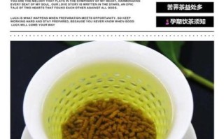 孕妇可以喝苦荞茶吗_苦荞茶对孕妇的利弊