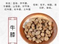 怀牛膝泡水喝的功效_怀牛膝泡水喝的禁忌