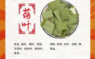 荷叶茶可以长期喝吗_荷叶茶长期饮用副作用