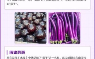 茄瓜是茄子还是瓜_茄瓜图片怎么分辨真假