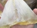 鱼翅是什么部位_鱼翅是鲨鱼的哪个部位