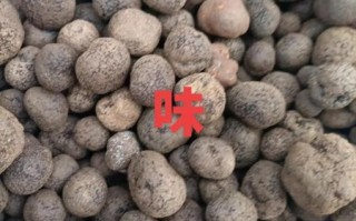 松露菌怎么吃_松露菌价格多少钱一斤