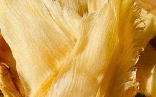 鱼翅干货图片大全_如何辨别真假鱼翅