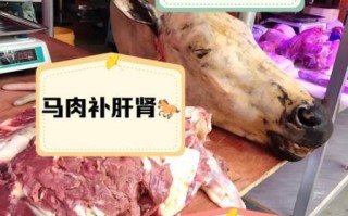 马肉的功效与作用_马肉适合什么人吃