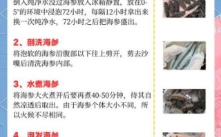 海参怎么泡发最好_海参泡发正确步骤
