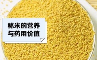 秫米是什么米_秫米和糯米的区别