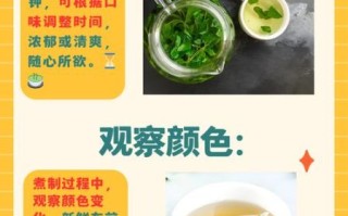 车前草怎么煮水_车前草煮水的正确做法