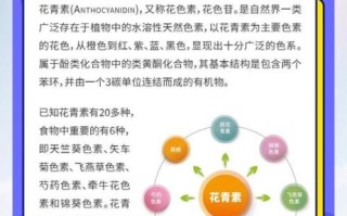 甜菜红素和花青素有什么区别_哪个更稳定