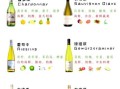 白葡萄酒和红葡萄酒的区别_哪个更健康