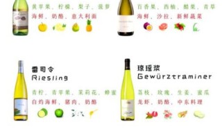 白葡萄酒和红葡萄酒的区别_哪个更健康