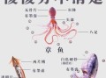 鱿鱼圈是鱿鱼的哪个部位_如何辨别真假鱿鱼圈