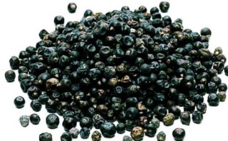 杜松子树黑童话讲了什么_杜松子树童话寓意