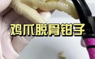 鸡脚怎么脱骨_最快最完整的方法