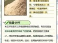 黄瓜籽粉什么人不能吃_禁忌人群全解析