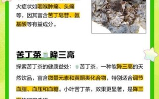 苦丁茶的功效与作用_苦丁茶的禁忌有哪些