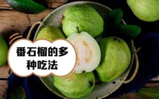 番石榴怎么吃_番石榴的营养价值