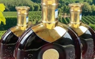 xo酒价格表多少钱一瓶_xo酒真假怎么分辨