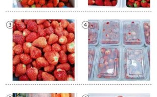 自制草莓酱能放冷冻吗_冷冻保存多久