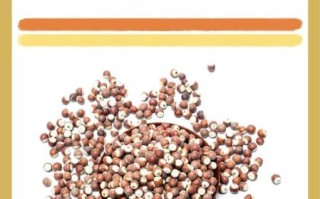 鸡头米长什么样子_鸡头米图片特征