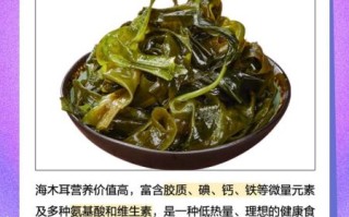 海木耳是裙带菜吗_区别与营养对比