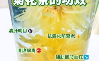 菊花茶可以隔夜喝吗_隔夜菊花茶还能喝吗