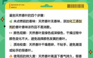 真香叶与假香叶的区别_如何辨别真假香叶
