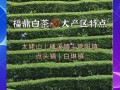 福鼎白茶哪里最正宗_福鼎白茶核心产区有哪些