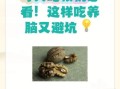 核桃吃多了有什么危害_一天吃几个核桃合适