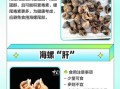 海螺怎么吃_哪些部位不能吃