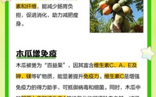 木瓜对男性性功能好吗_男人吃木瓜壮阳吗