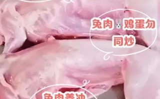 兔肉不能和什么同食_兔肉相克食物有哪些