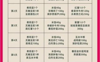 快餐菜谱大全100_如何快速做出健康快餐