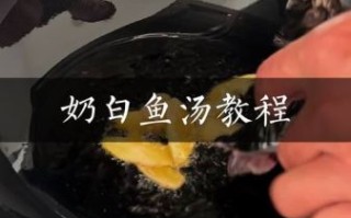 清汤鱼的做法大全_如何做出奶白汤底
