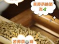 苦荞茶的好处和坏处有哪些_长期喝苦荞茶会伤胃吗