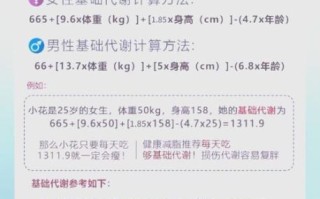 基础代谢率怎么算_提高基础代谢率的方法