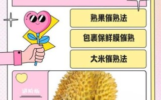 剥好的榴莲肉怎么催熟_榴莲肉没熟怎么办