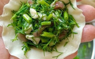 茴子白饺子馅怎么做_茴子白饺子馅怎么调才好吃