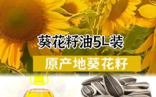 葵花籽油的好处_葵花籽油适合炒菜吗